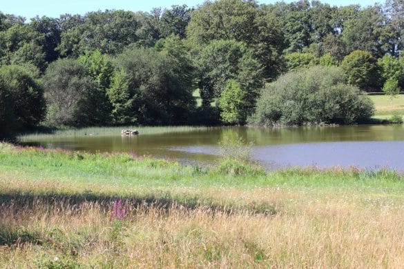 Le plan d'eau de la Brousse - Marsac en Creuse